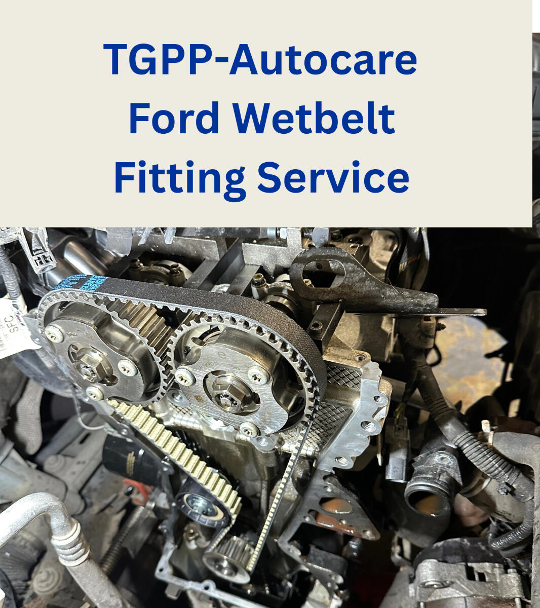 Ford EcoBoost Wetbelt Replacement in Stevenage | From £1100 Cambelt Fix